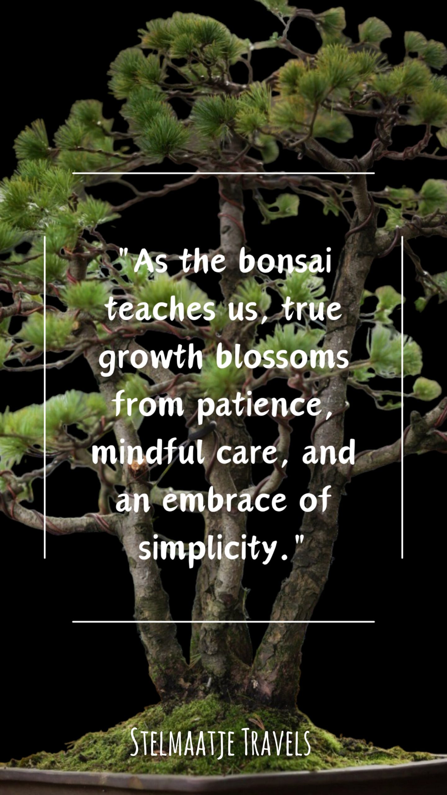 Quotes - Stelmaatje Travels