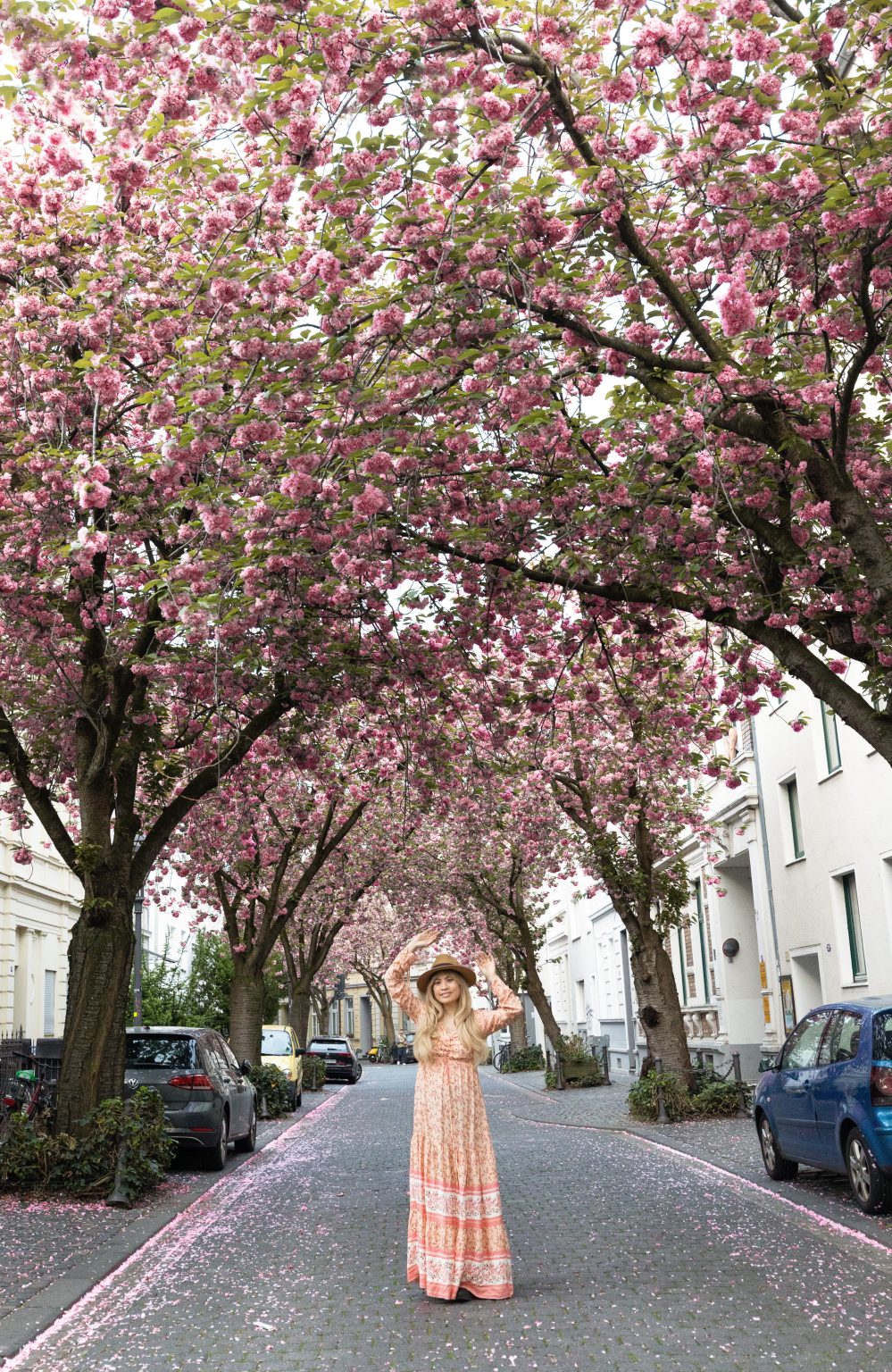 Cherry Blossoms in Bonn, Germany - Stelmaatje Travels